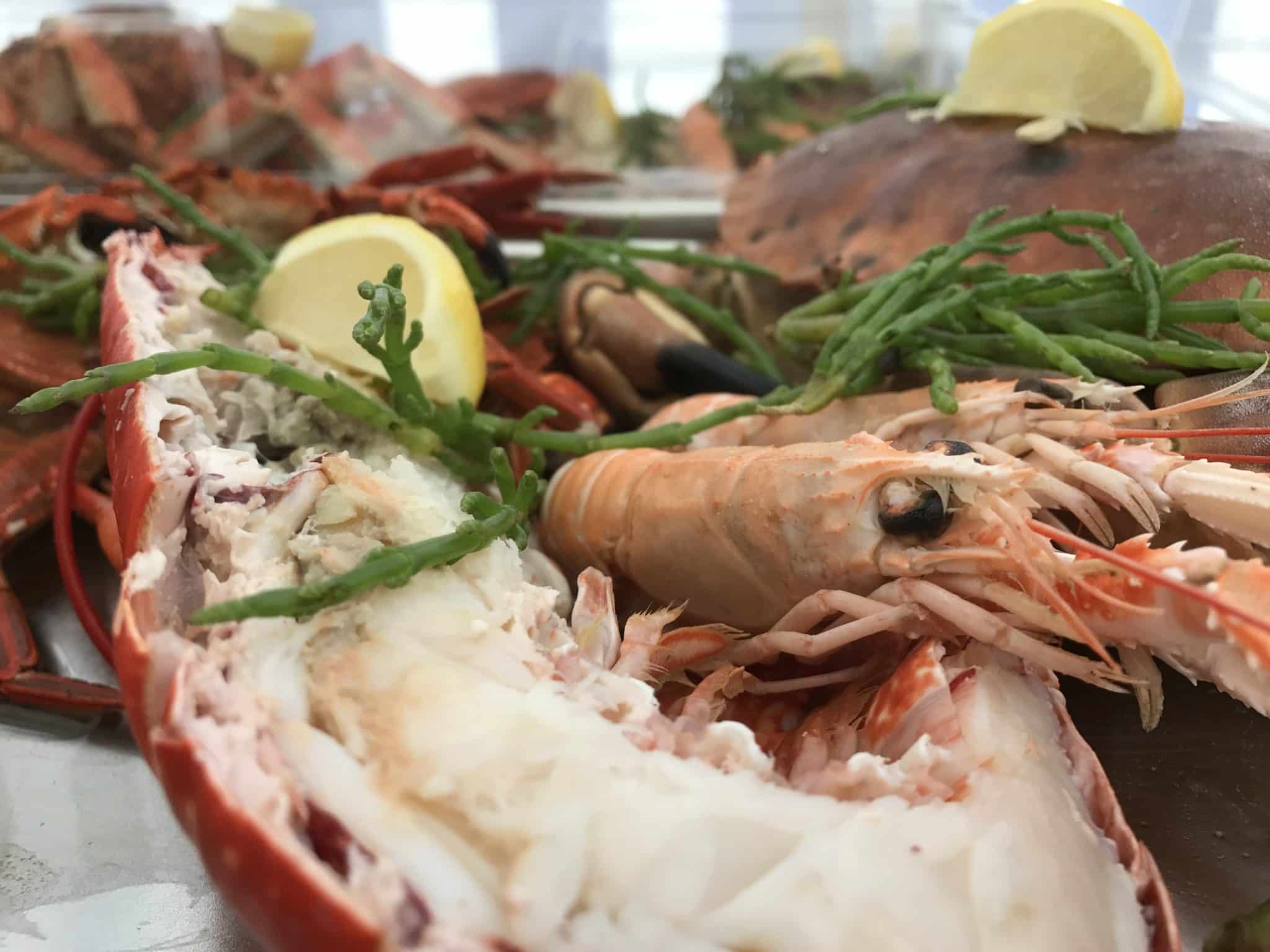 Getting to Grips with Shellfish - The Shellfish Association of Great ...