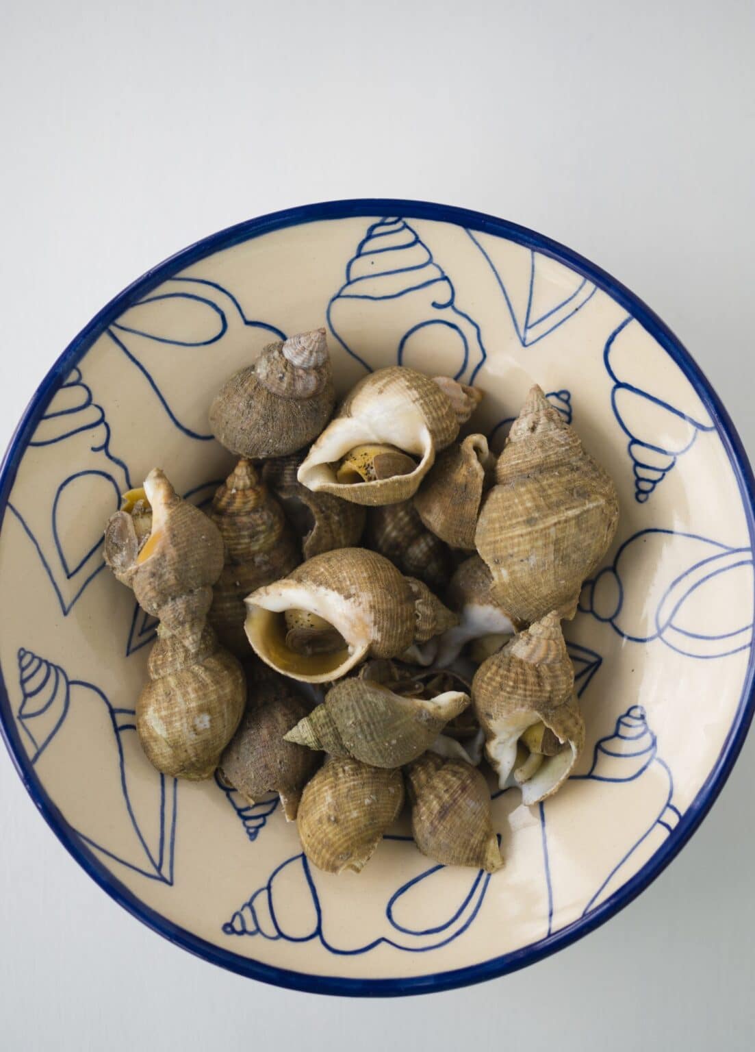 Getting to Grips with Shellfish - The Shellfish Association of Great ...