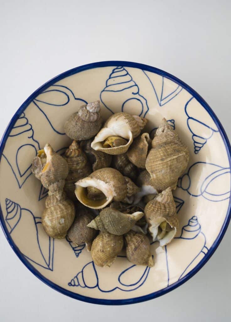 Getting to Grips with Shellfish - The Shellfish Association of Great ...