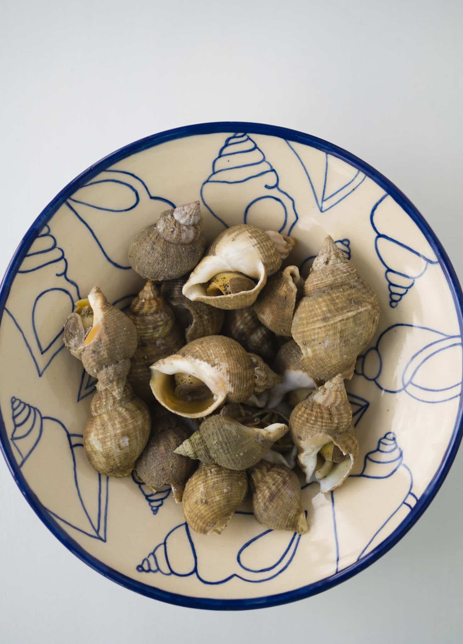 Getting to Grips with Shellfish - The Shellfish Association of Great ...