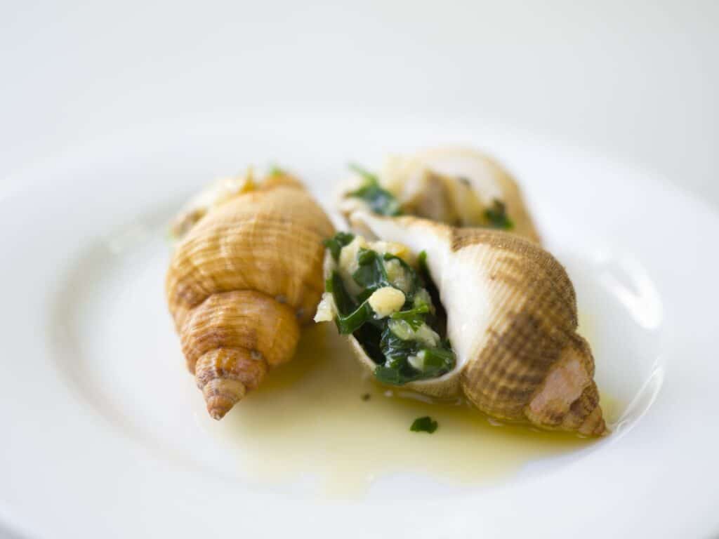 Getting to Grips with Shellfish - The Shellfish Association of Great ...