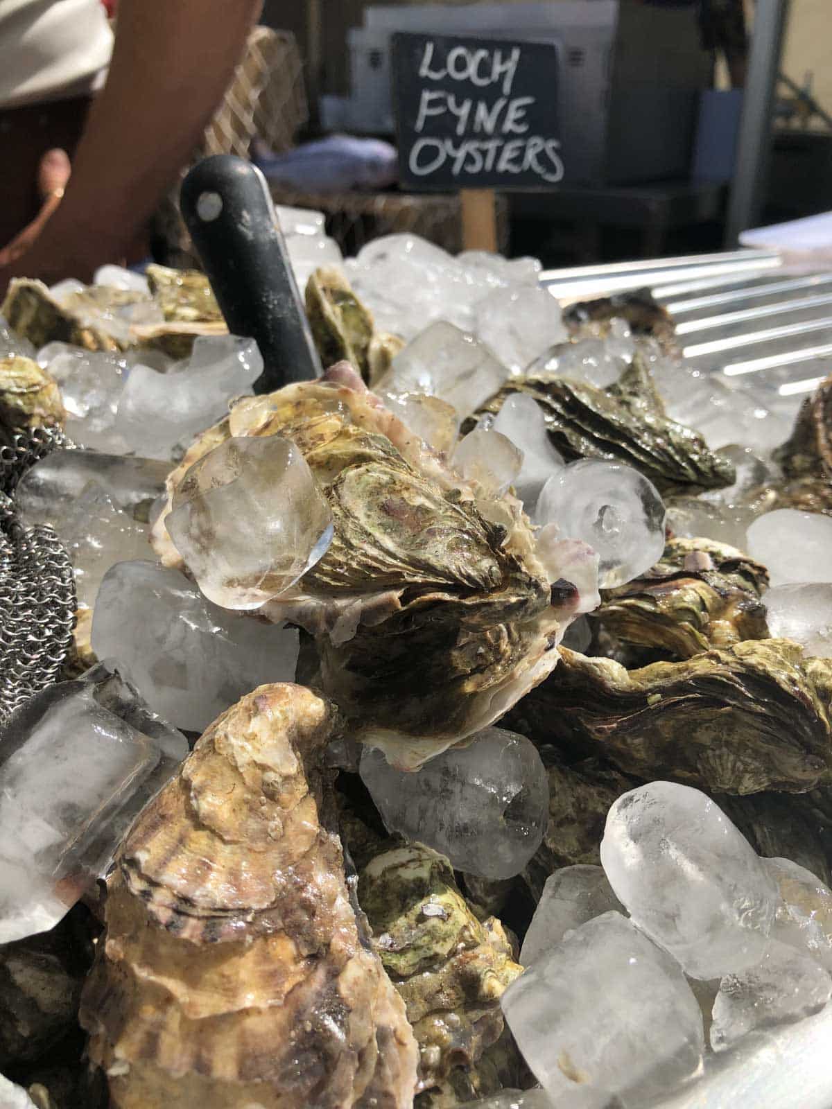 Expanding Pacific oysterfarming ‘carries few environmental risks’ - The ...