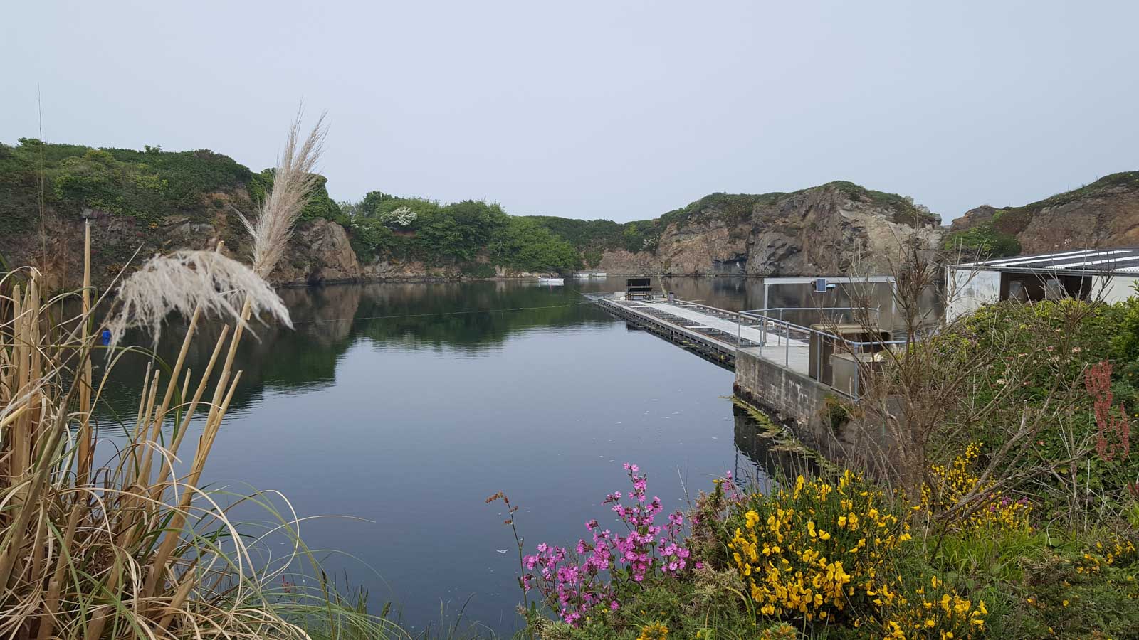 Socio-economic Impacts of Water Quality - The Shellfish Association of ...